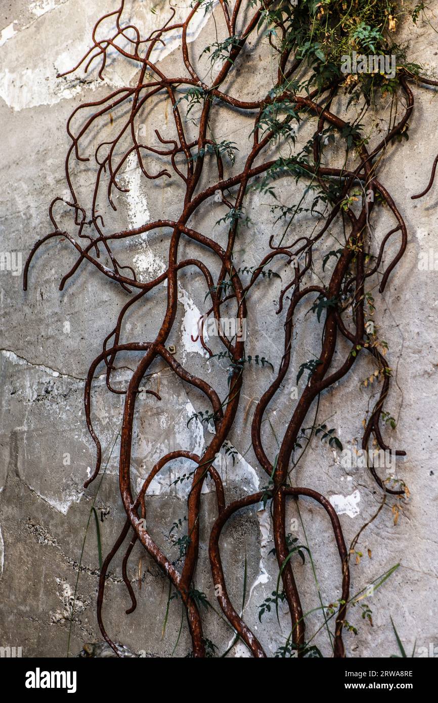 The upward stem hi-res stock photography and images - Alamy