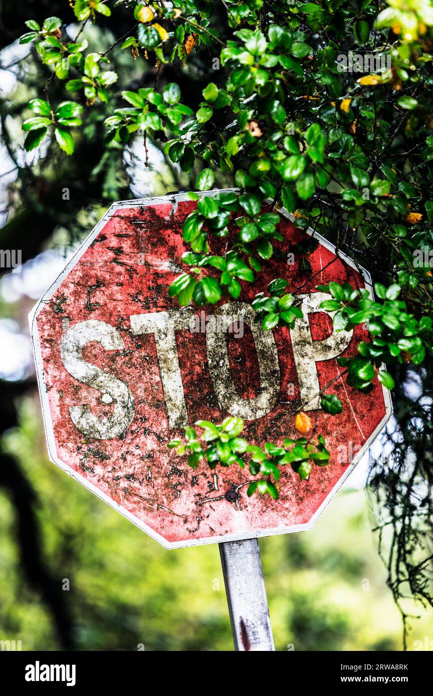 Old stop sign Stock Photo - Alamy