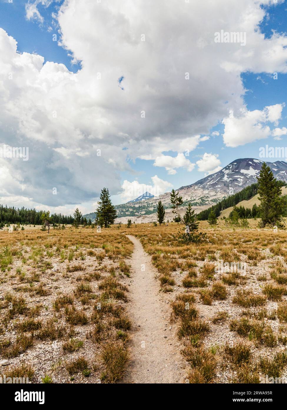 Forward crest hi-res stock photography and images - Alamy