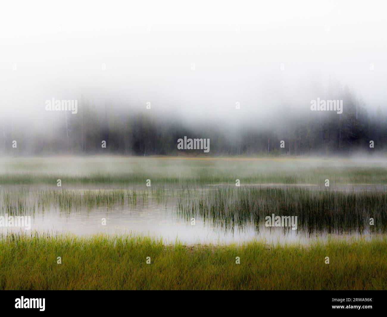 Early morning fog rising from a lake and marsh along the Pacific Crest ...