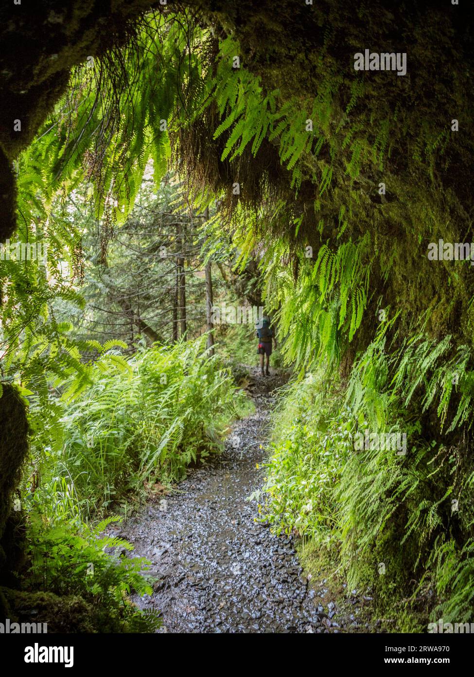 Getting blasted hi-res stock photography and images - Alamy