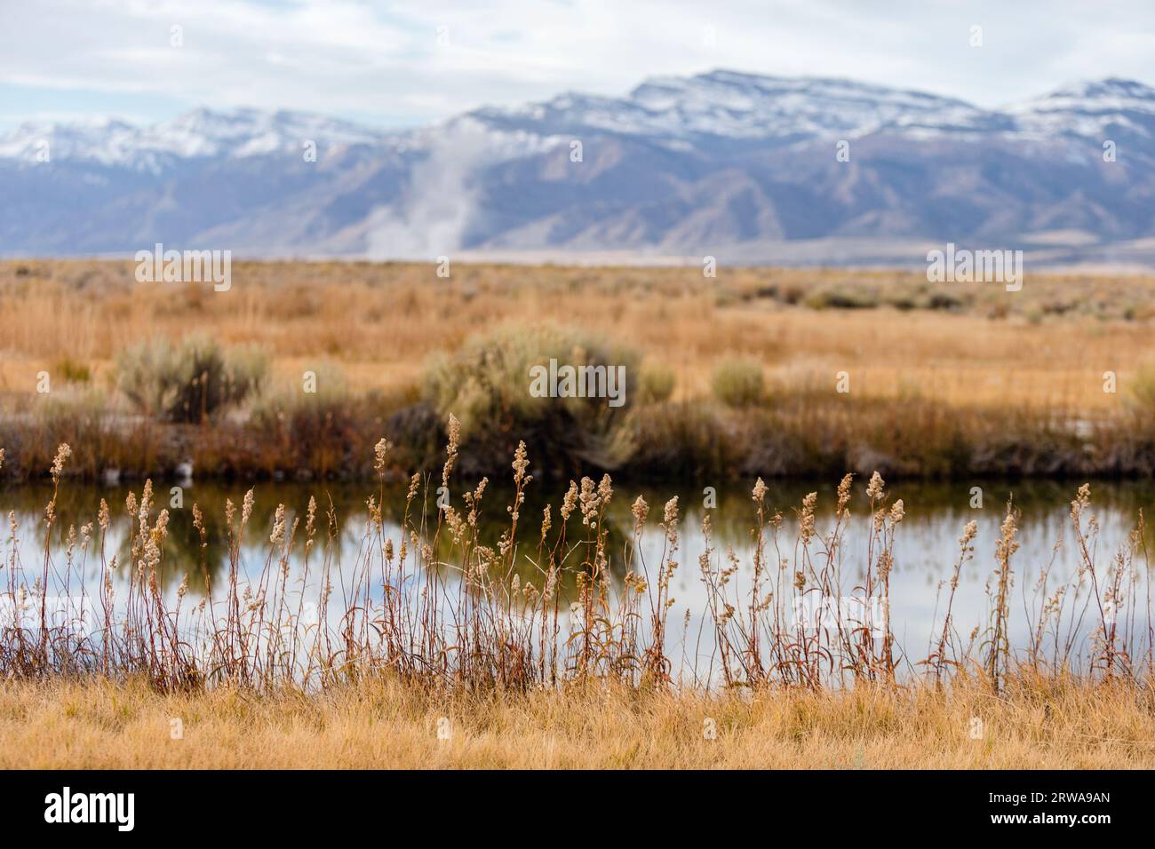 Surprise Valley hot springs Stock Photo - Alamy