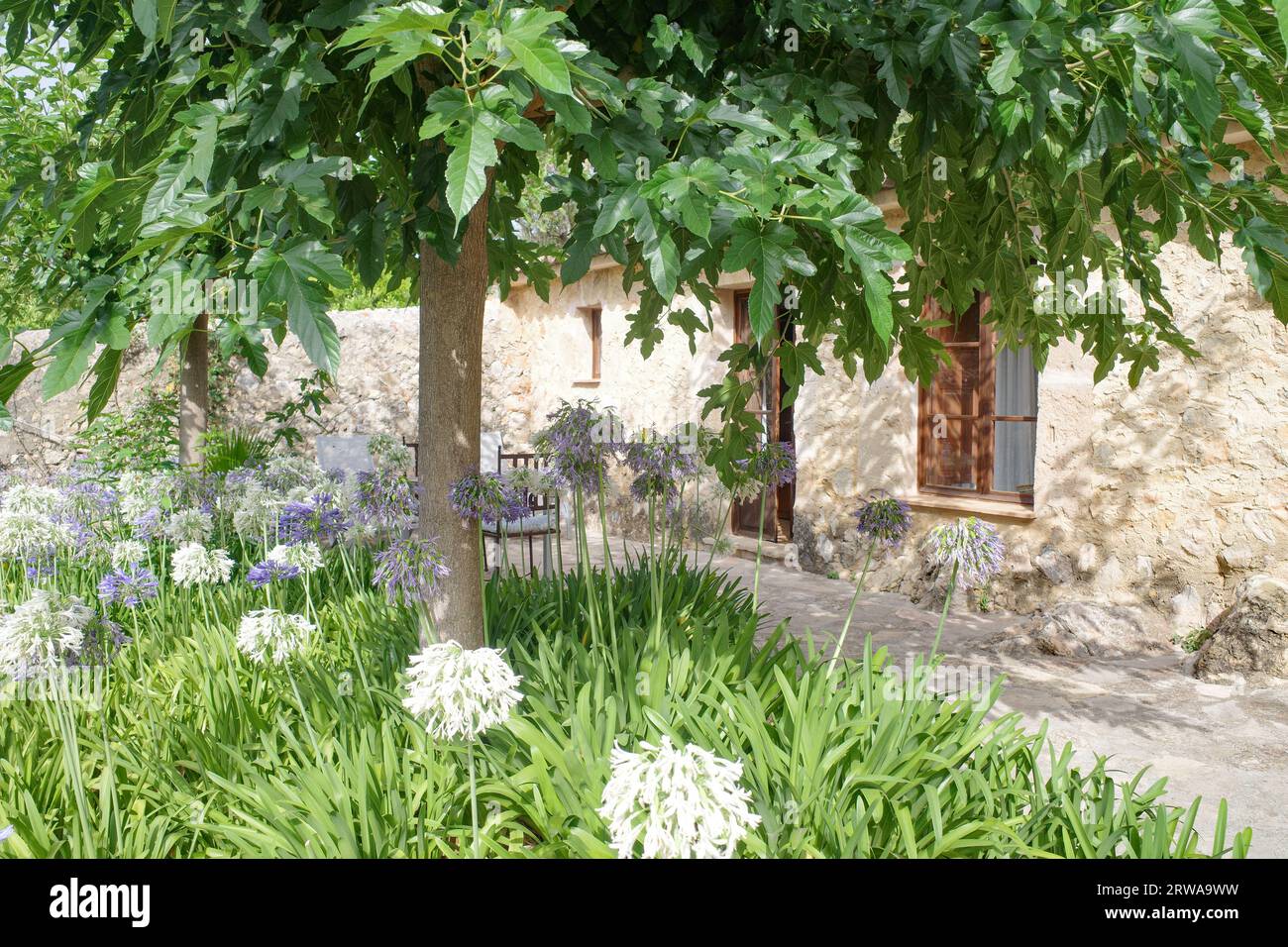 Mallorca, Spain - 10 July, 2023: Lush tropical gardens at an ...