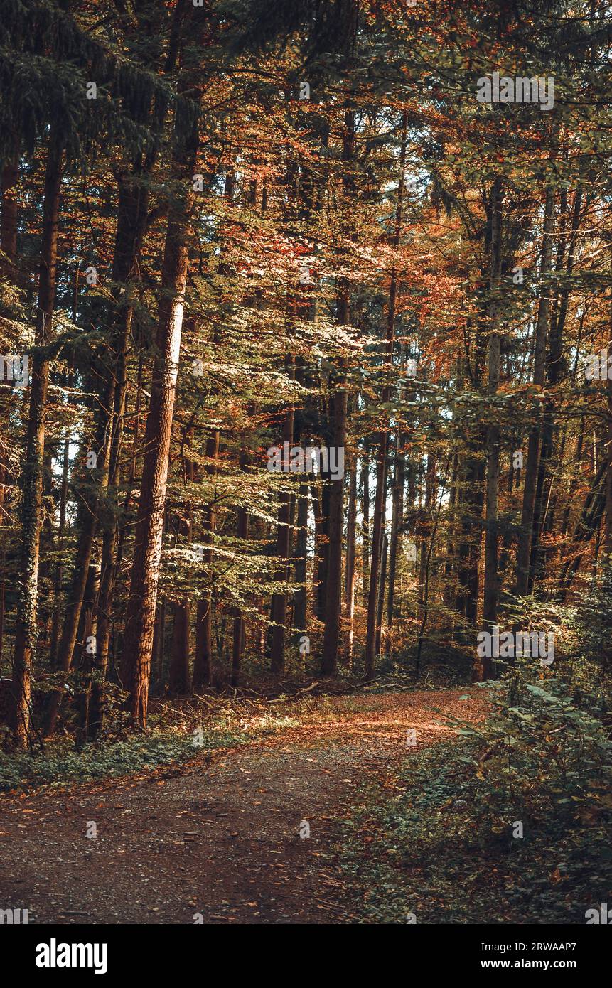 Zurich people fall hi-res stock photography and images - Alamy