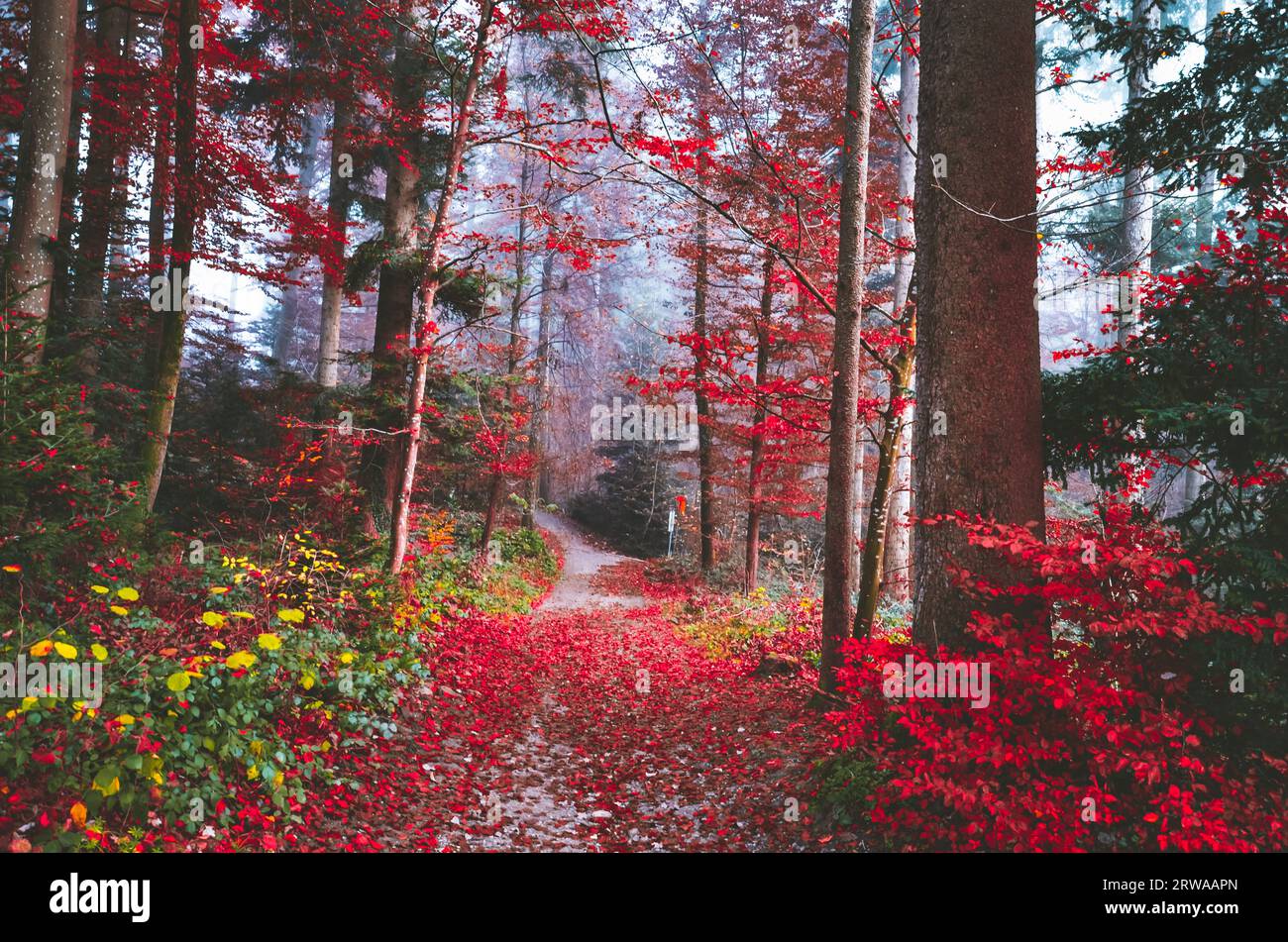 Zurich people fall hi-res stock photography and images - Alamy