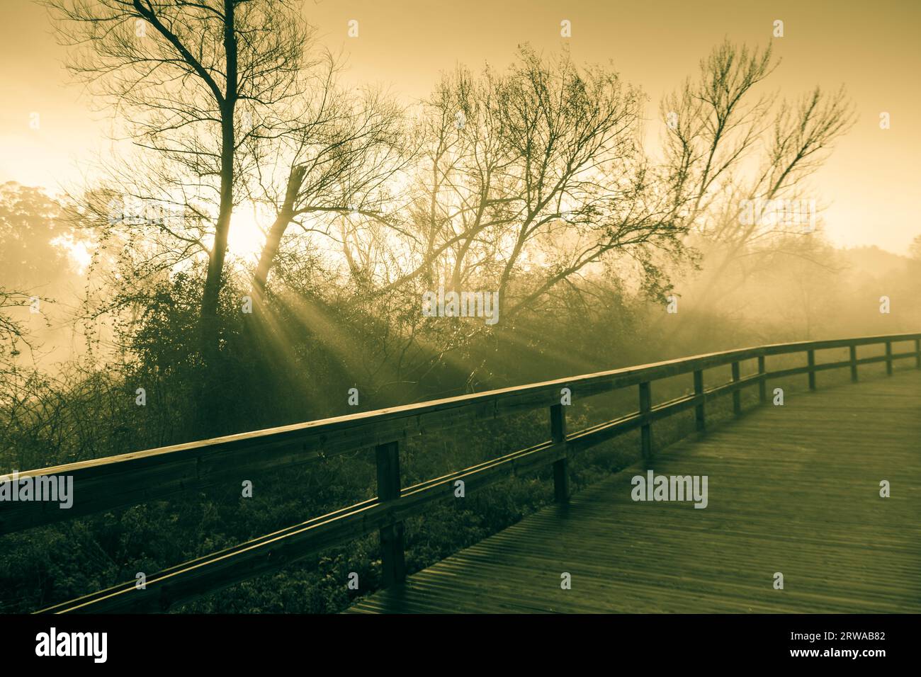 Sunrise in cold foggy morning Stock Photo - Alamy