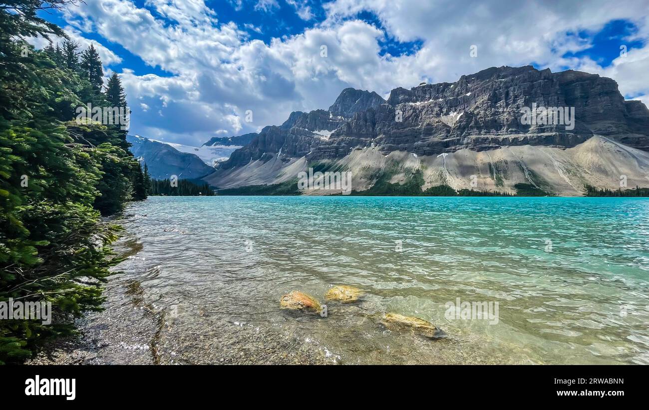 Bow lake panorama in banff national park hi-res stock photography and ...