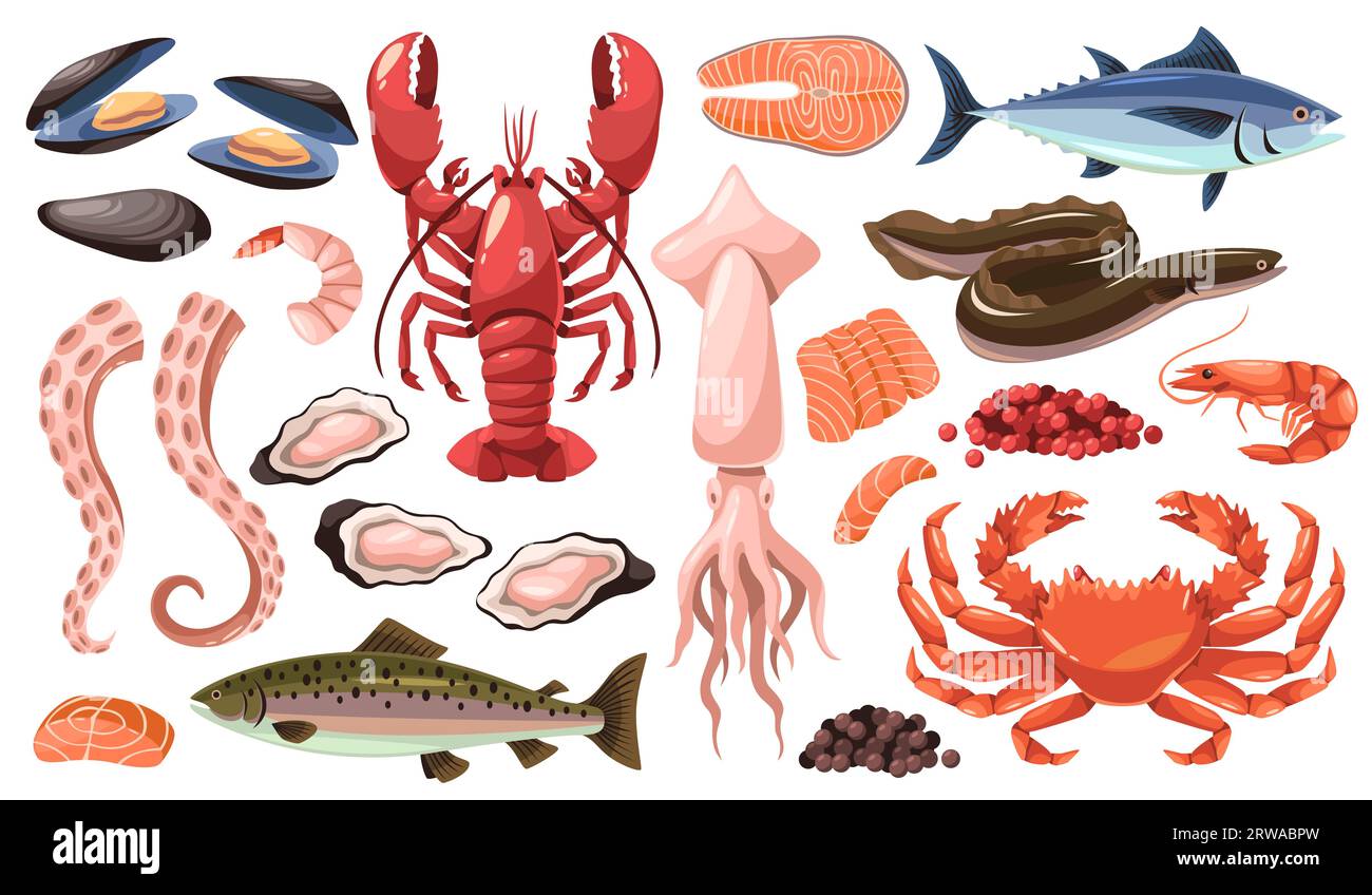 Cartoon raw sea food products. Marine and oceanic gourmet delicacies ...