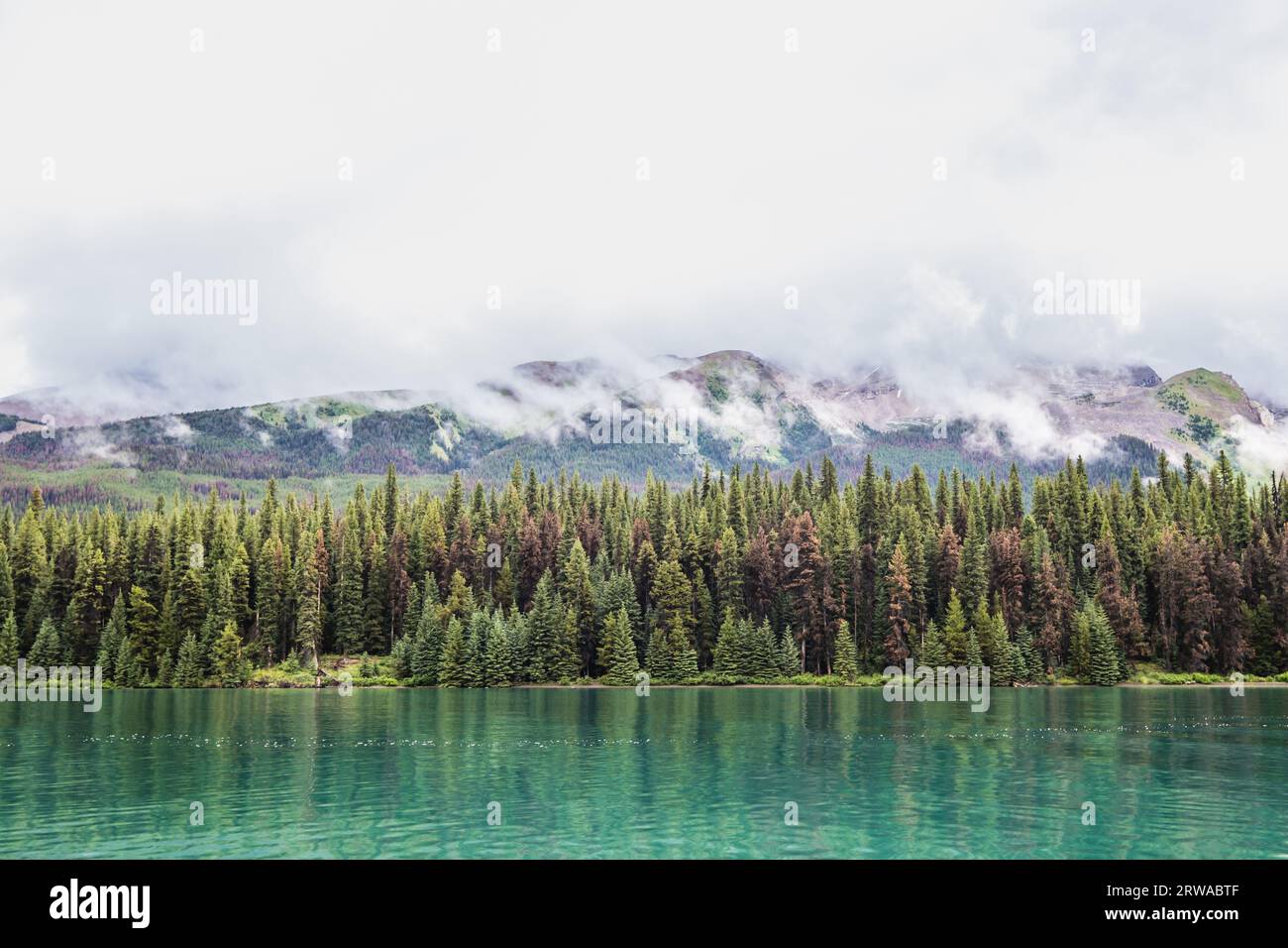 Mountain peak at Jasper National Park in Canada Stock Photo - Alamy
