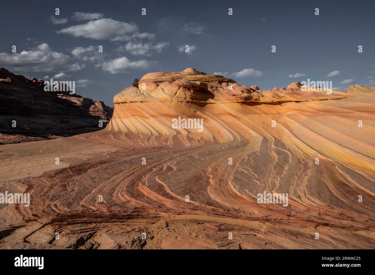 Dreamland safari tours hi-res stock photography and images - Alamy