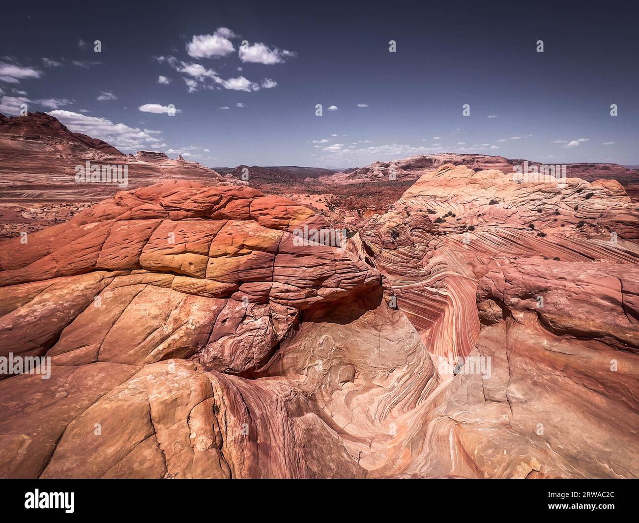 Dr seuss land hi-res stock photography and images - Alamy