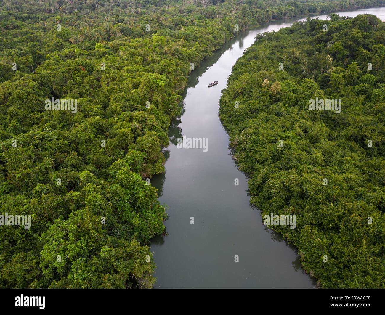 Beautiful aerial view to green amazon rainforest Igarapé near Juruena ...