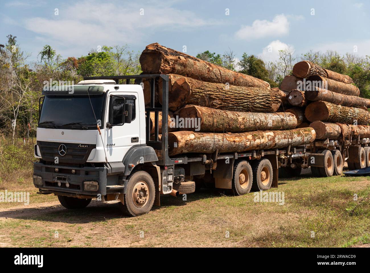 Amazon rainforest deforestation brazil hi-res stock photography and ...