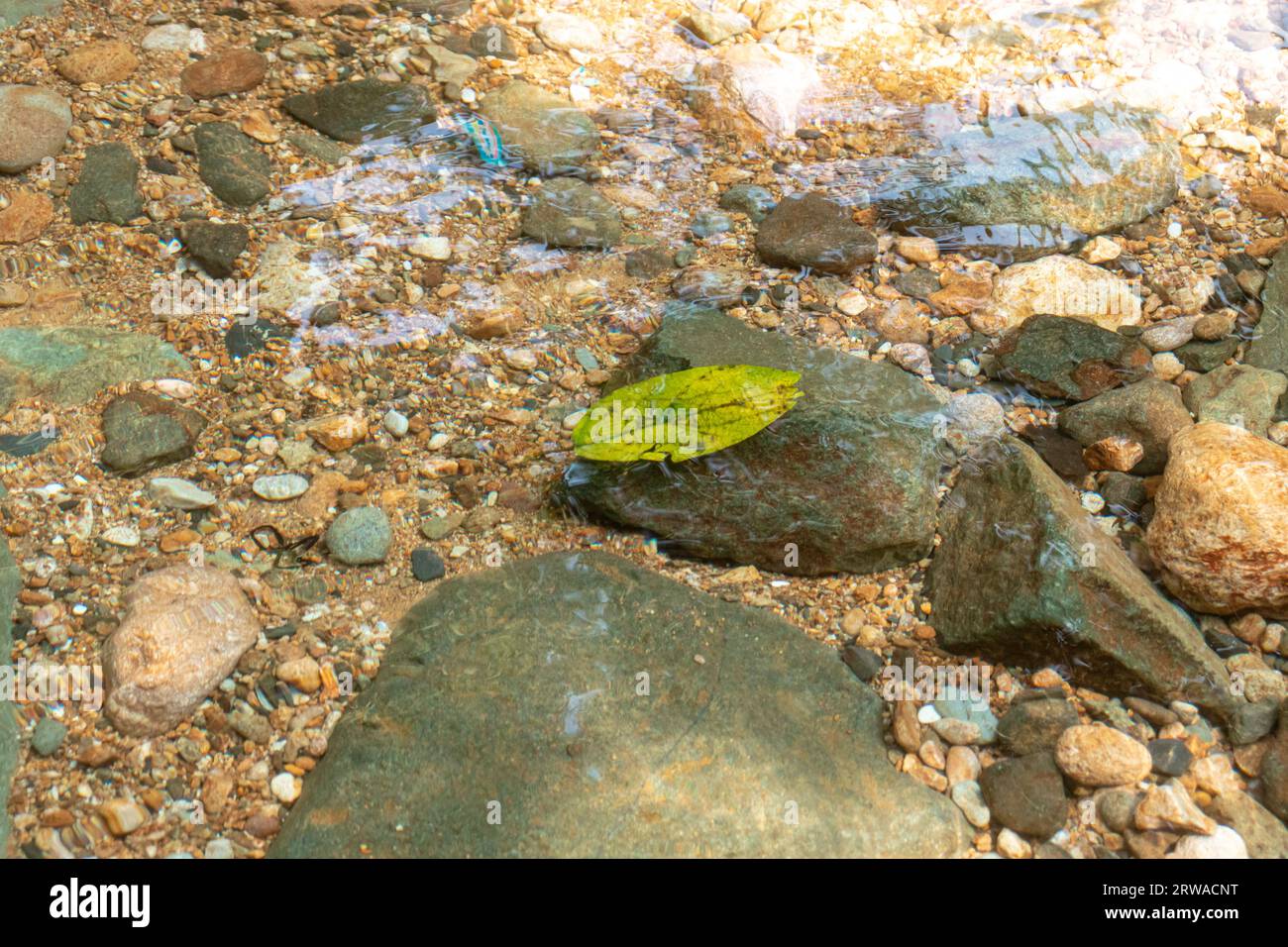 Water surface underwater stones hi-res stock photography and images - Alamy