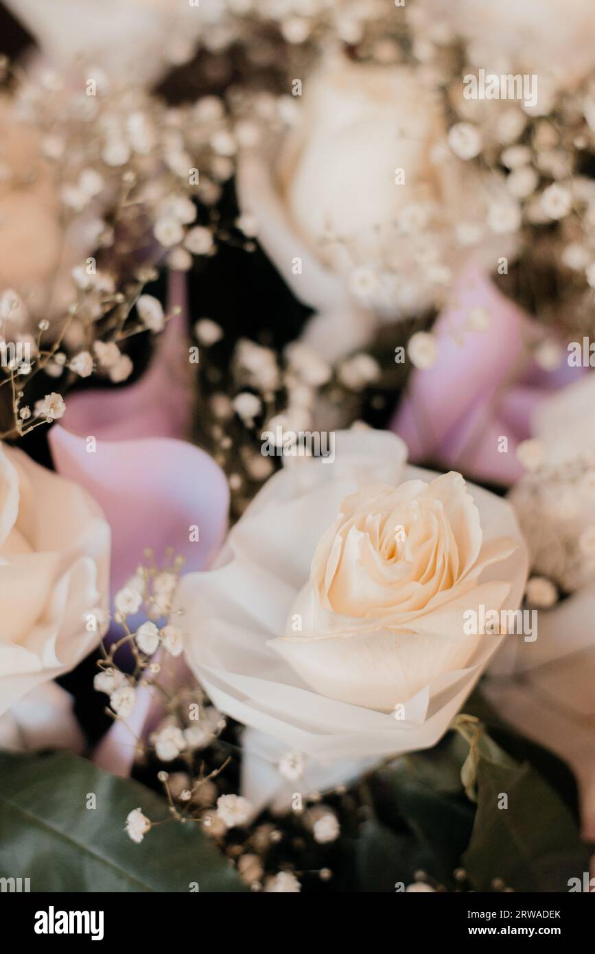 Soft color Roses in bouquet Background Stock Photo - Alamy