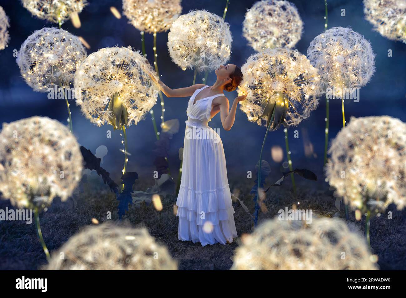 Dandelions stars hi-res stock photography and images - Alamy