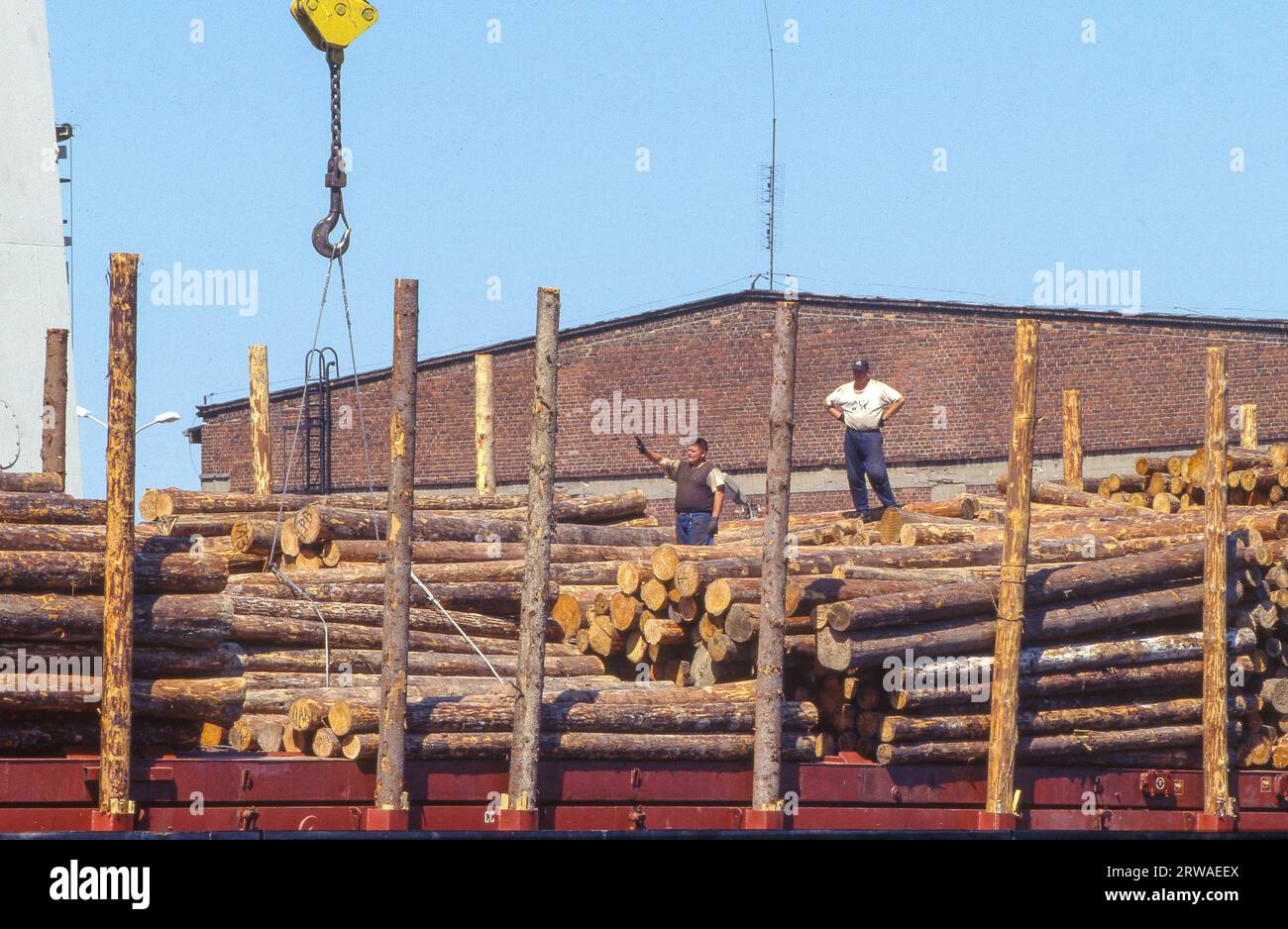 Poland, In the port of Gdansk, logs are loaded onto ships for export ...