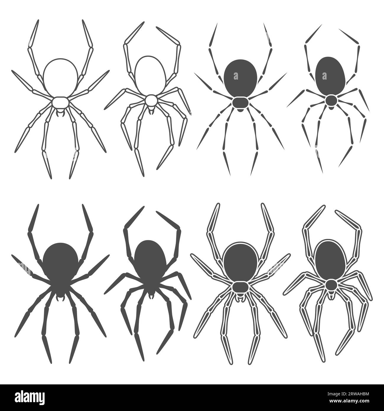 Set Of Black And White Illustrations With Spider Isolated Vector Objects On White Background