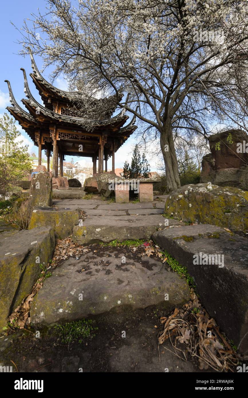 The Chinese Garden Stuttgart (Chinesischer Garten Stuttgart Stock Photo ...