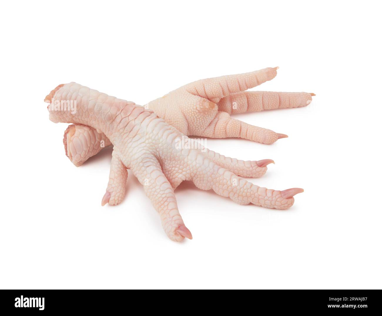 Raw chicken feet isolated on white background Stock Photo - Alamy