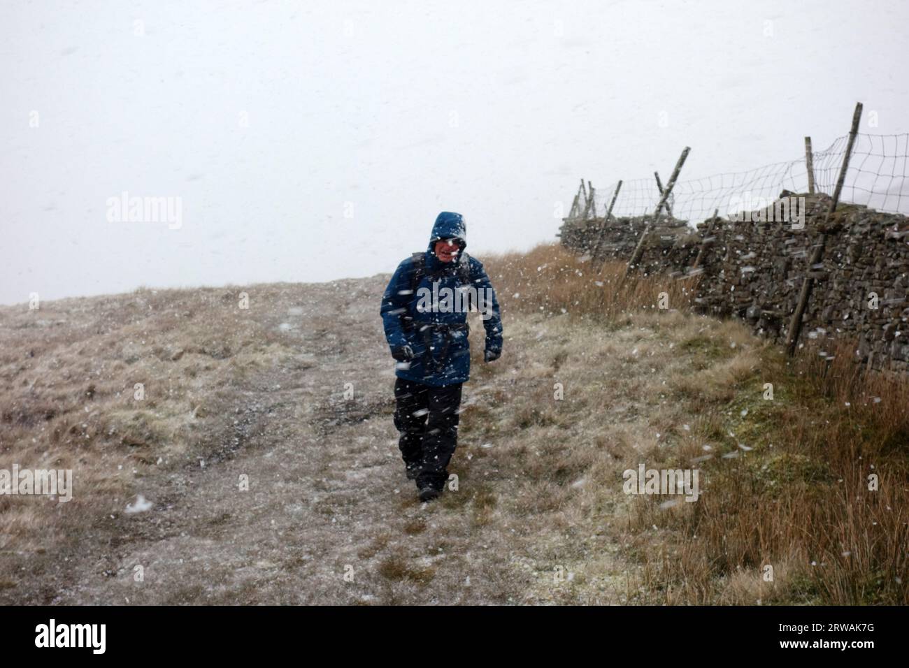 Man Walking on Path by Dry Stone Wall in a Snow Blizzard to ...