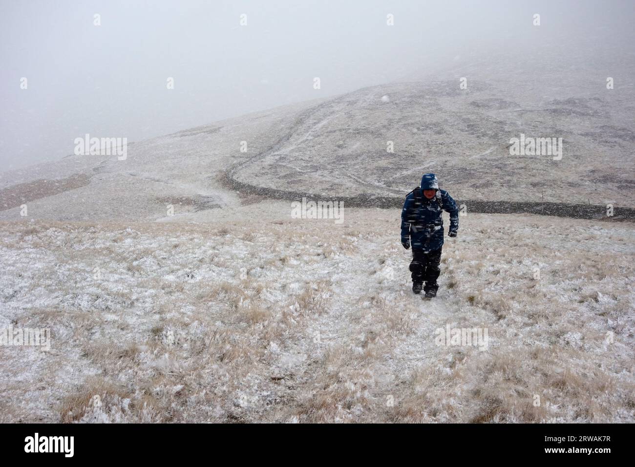 Man Walking on Path by Dry Stone Wall in a Snow Blizzard to ...