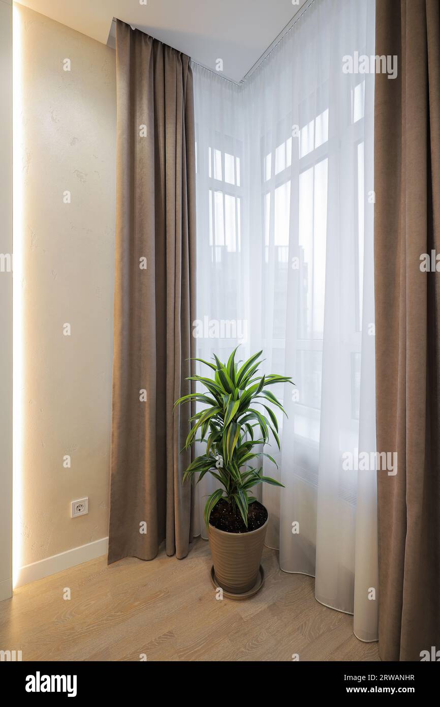 Room pot hi-res stock photography and images - Alamy