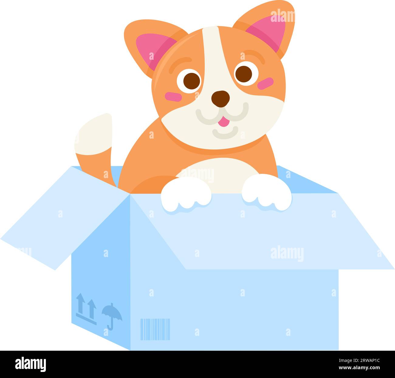 Small adopt funny puppy sits in cardboard box for birthday gift ...