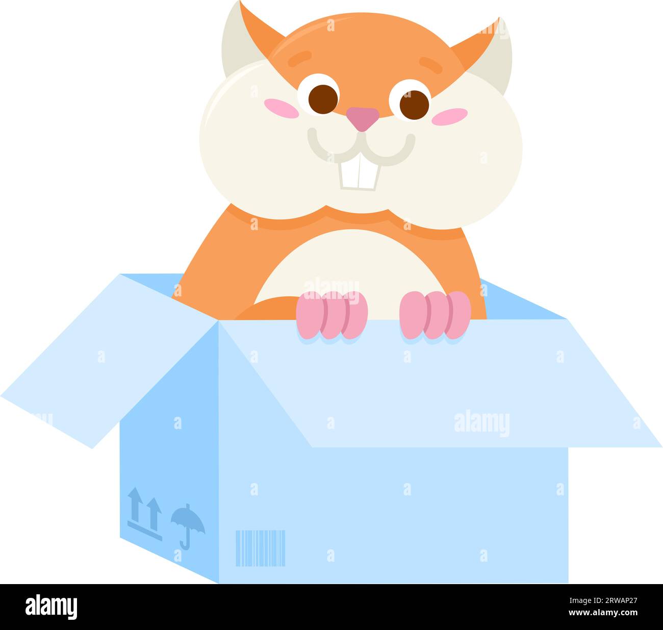 Small adopt red hamster sits in cardboard box for birthday gift ...