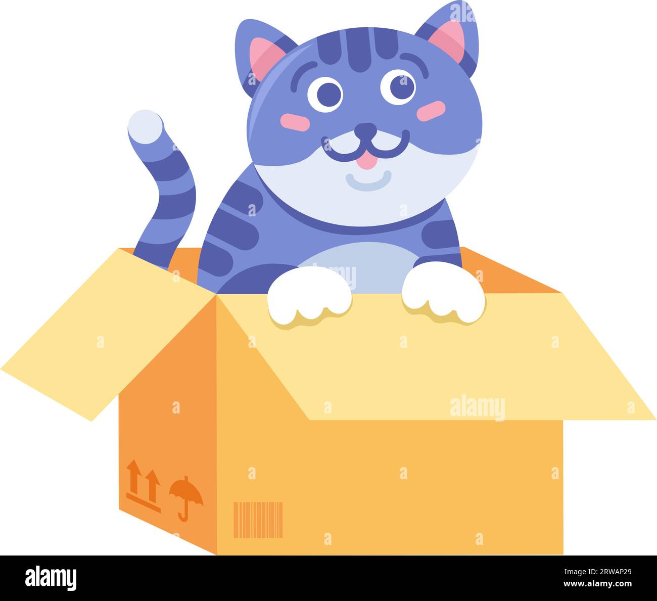 Small adopt Fluffy Kitten sits in cardboard box for birthday gift ...