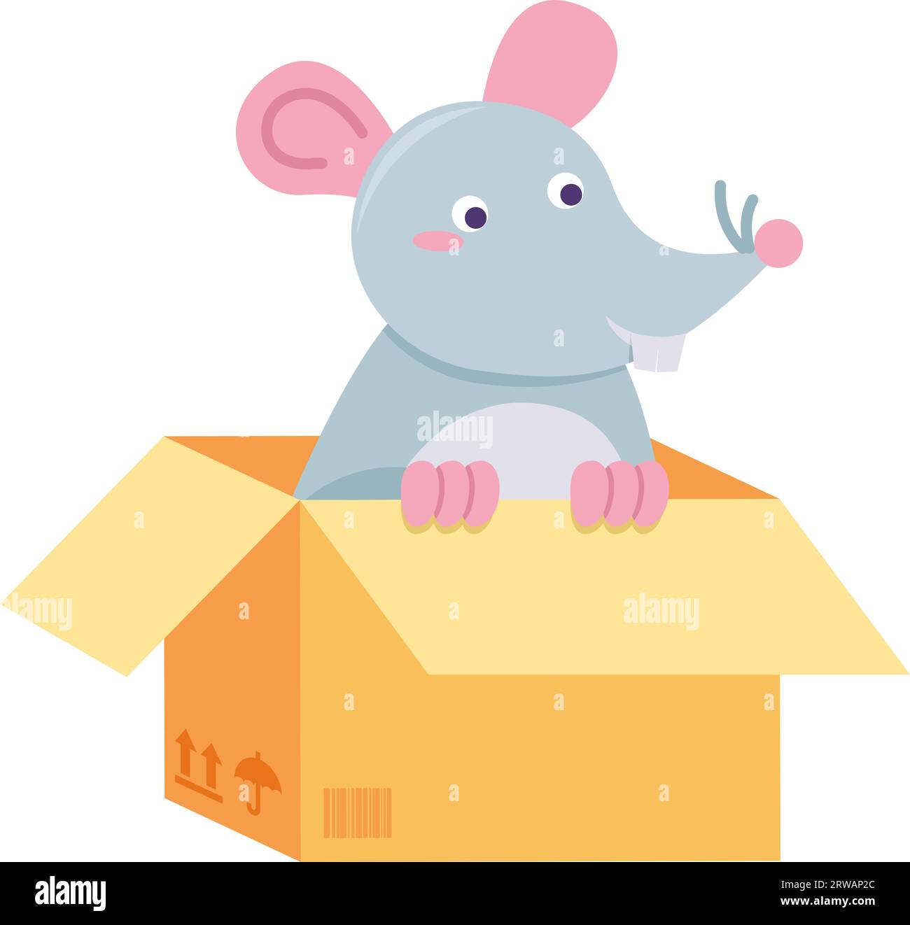 Small adopt gray rat sits in cardboard box for birthday gift. Homeless ...
