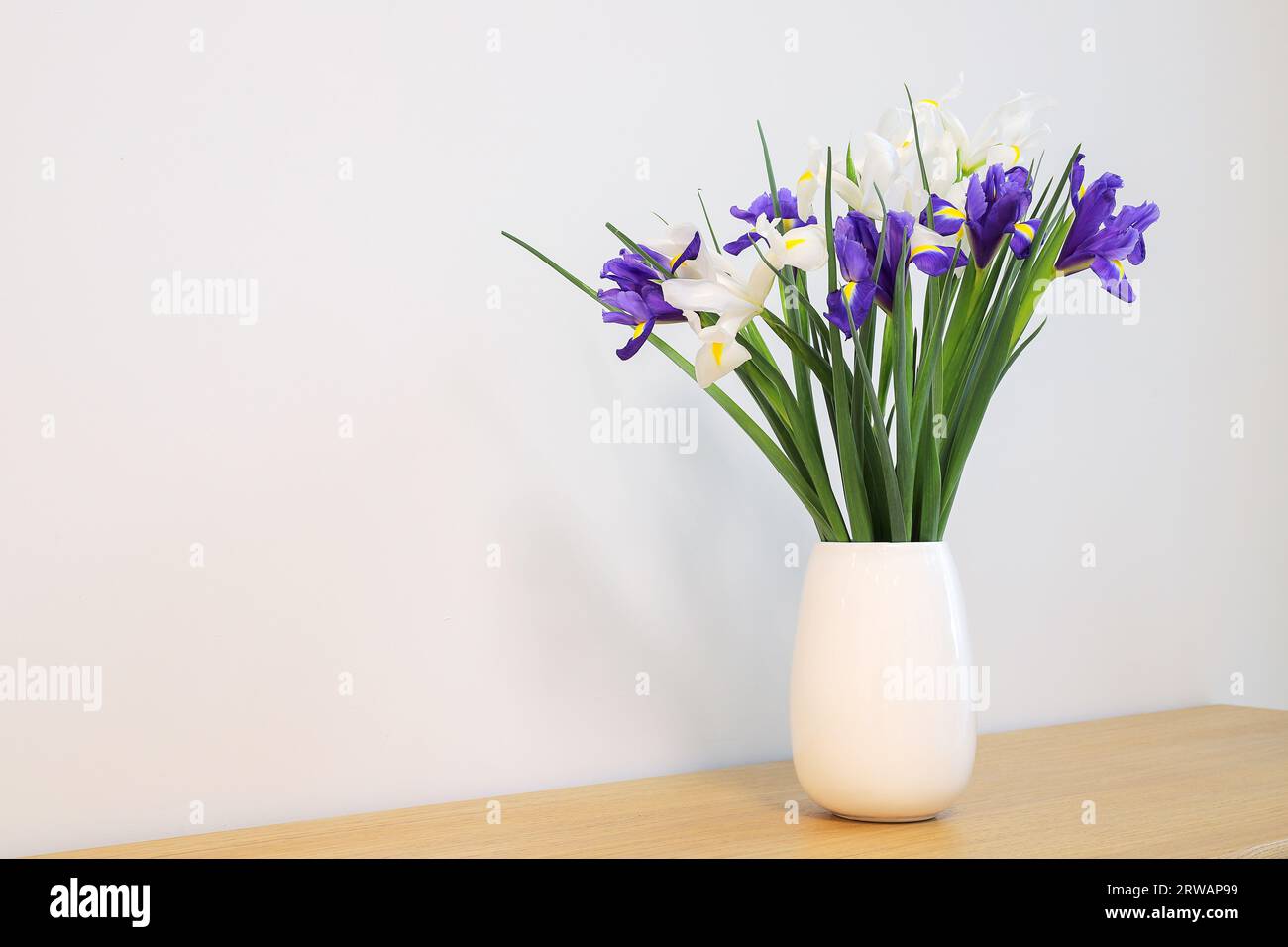 Flowers dutch iris in the vase Stock Photo - Alamy