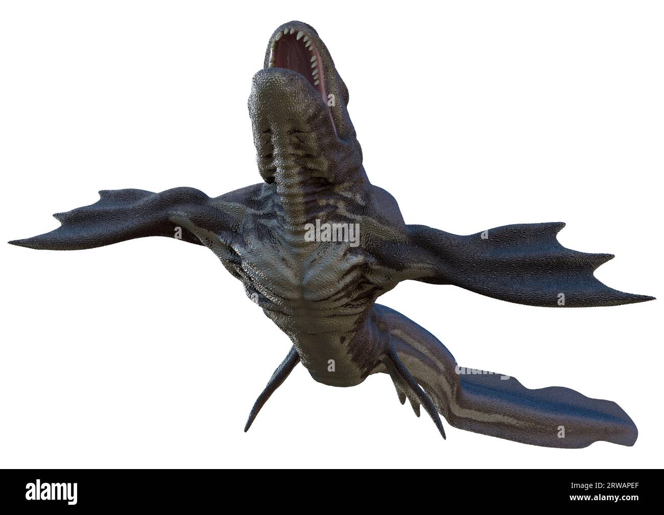 3D rendering of a fantasy sea dragon isolated on white background Stock ...