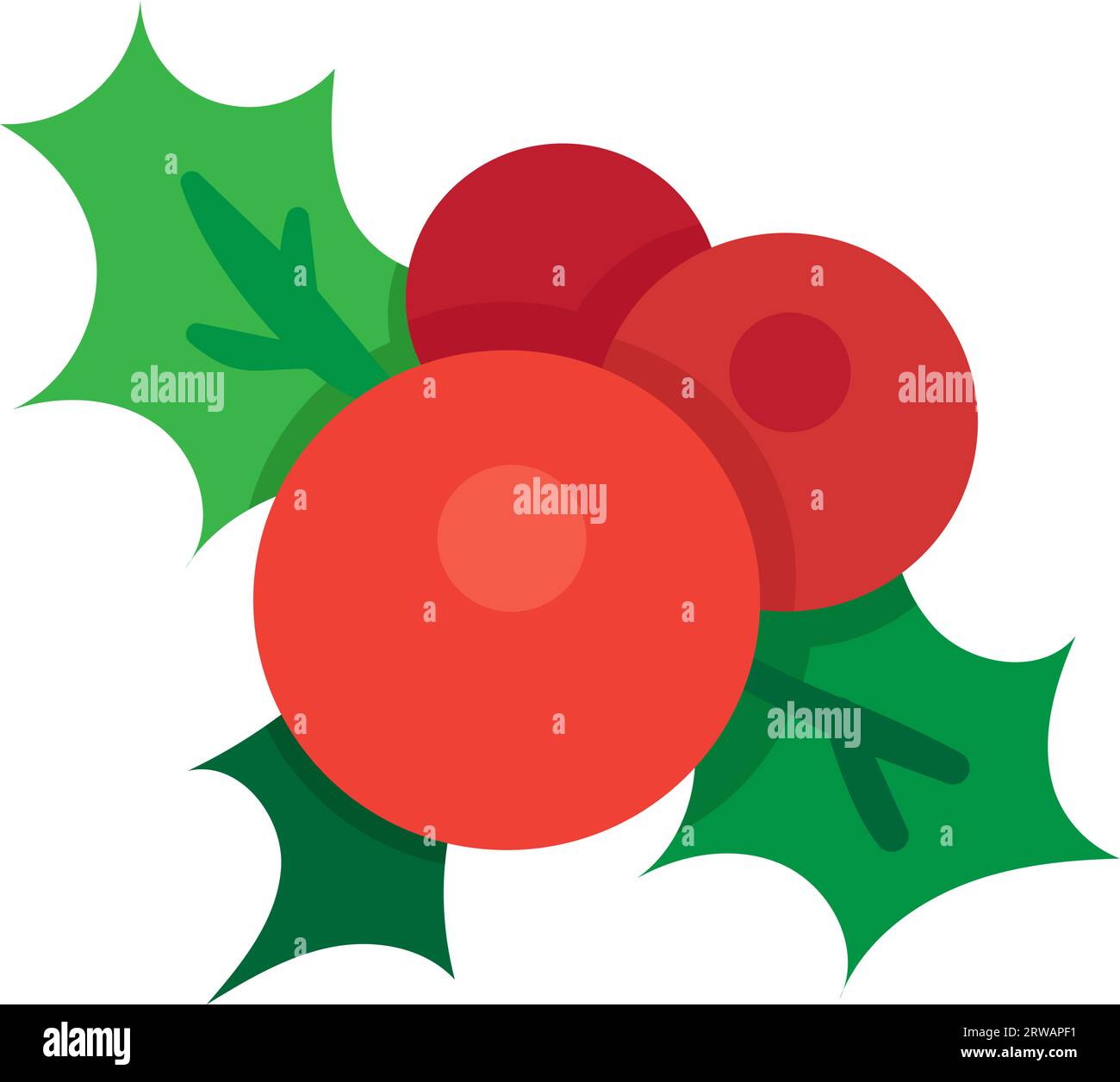 Evergreen ilex Stock Vector Images - Alamy