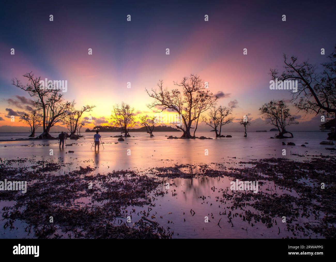 Rear view of two photographers taking photos at sunrise, Elyora Beach ...