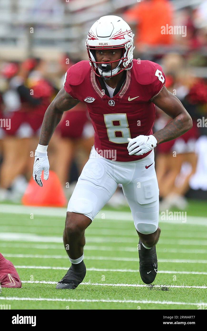 CHESTNUT HILL, MA - SEPTEMBER 16: Florida State Seminoles defensive ...