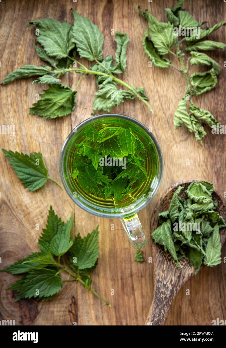 Above view of herbal tea made of dry Urtica dioica, known as common ...