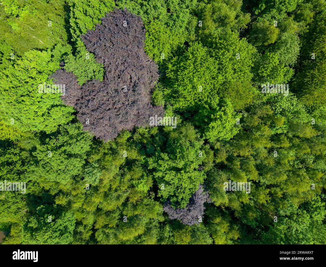 Nature's artistry from above. This captivating aerial perspective ...