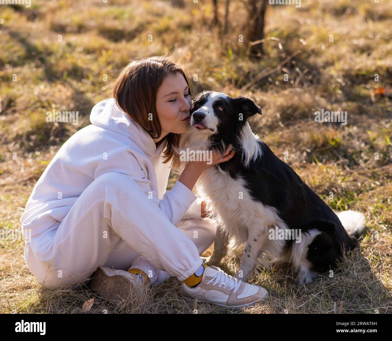 Pretty woman kissing border collie hi-res stock photography and images ...