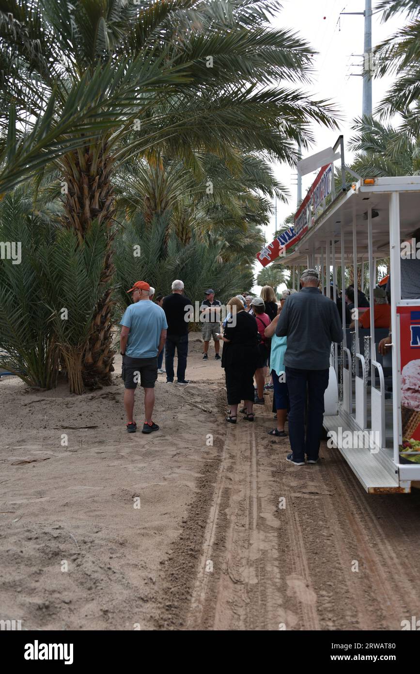 Yuma, AZ USA. 3/14/2023. Martha’s Gardens Medjool Date Farm was founded ...