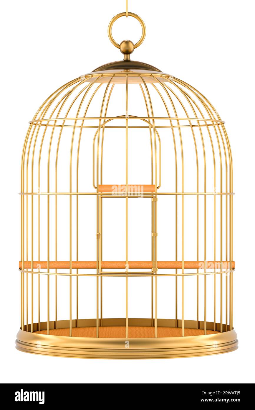 Golden bird cage, gold birdcage. 3D rendering isolated on white ...