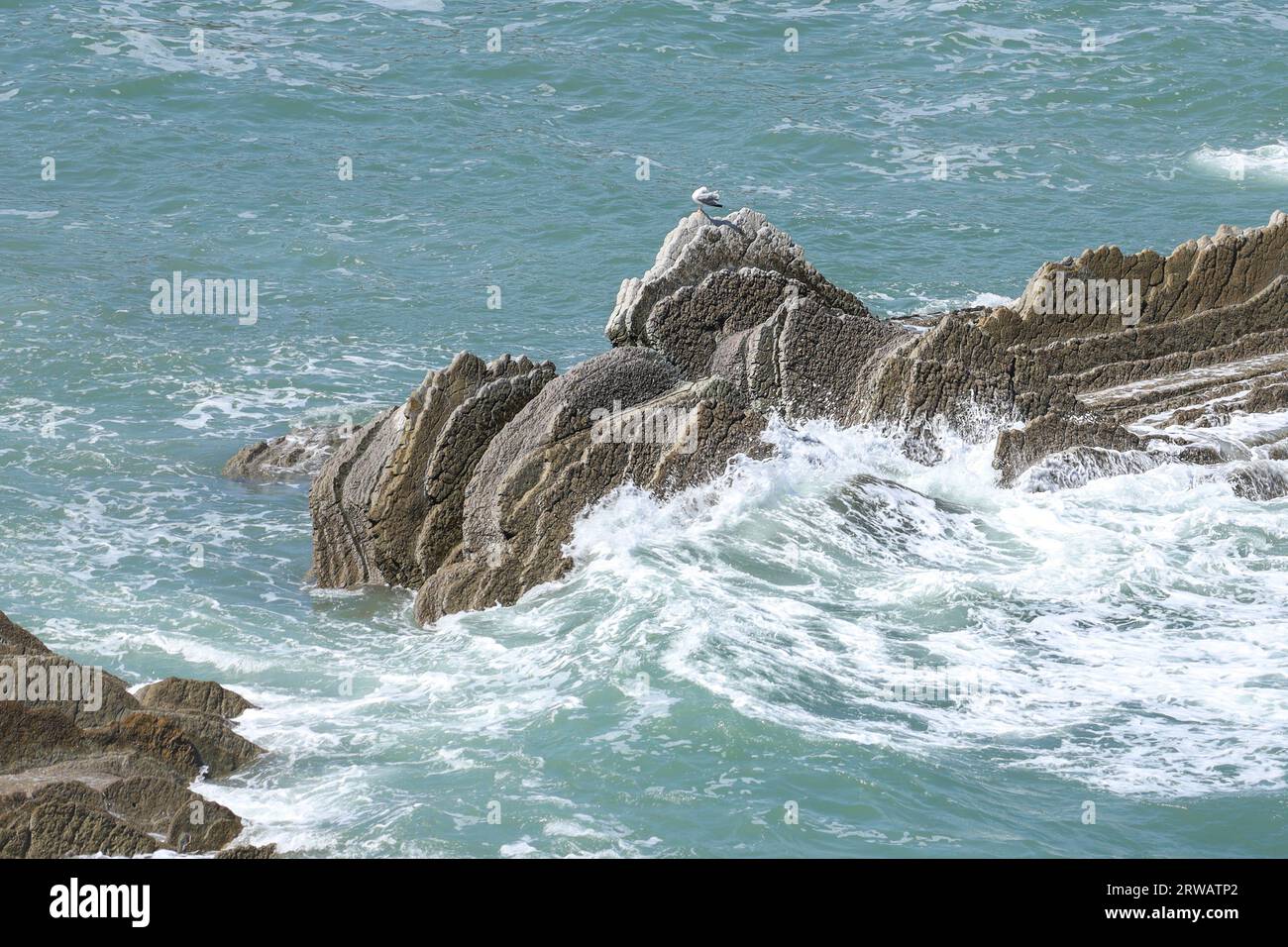Beautiful and colorful Flysch formations of the Unesco Global Geopark ...