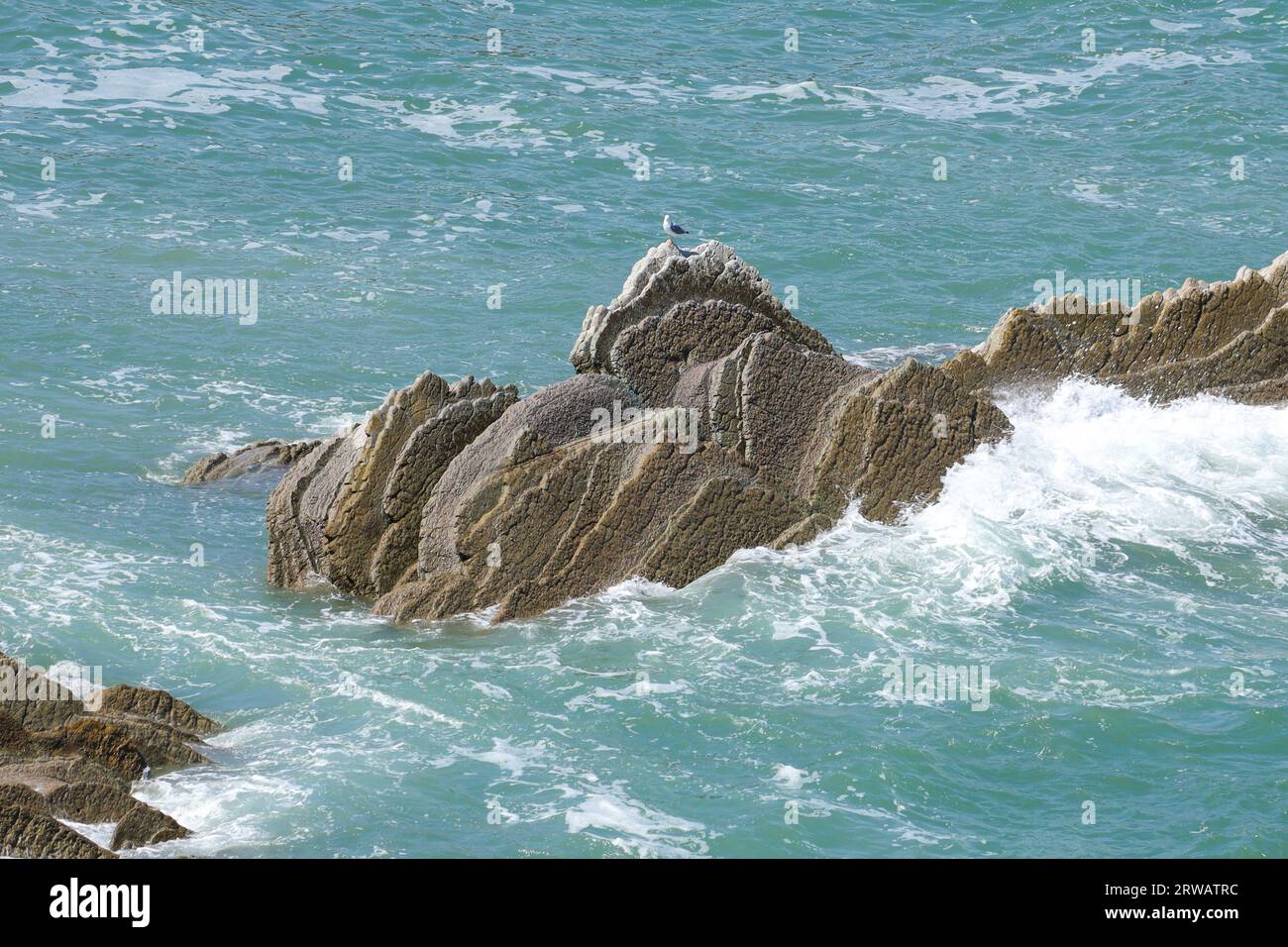 Beautiful and colorful Flysch formations of the Unesco Global Geopark ...