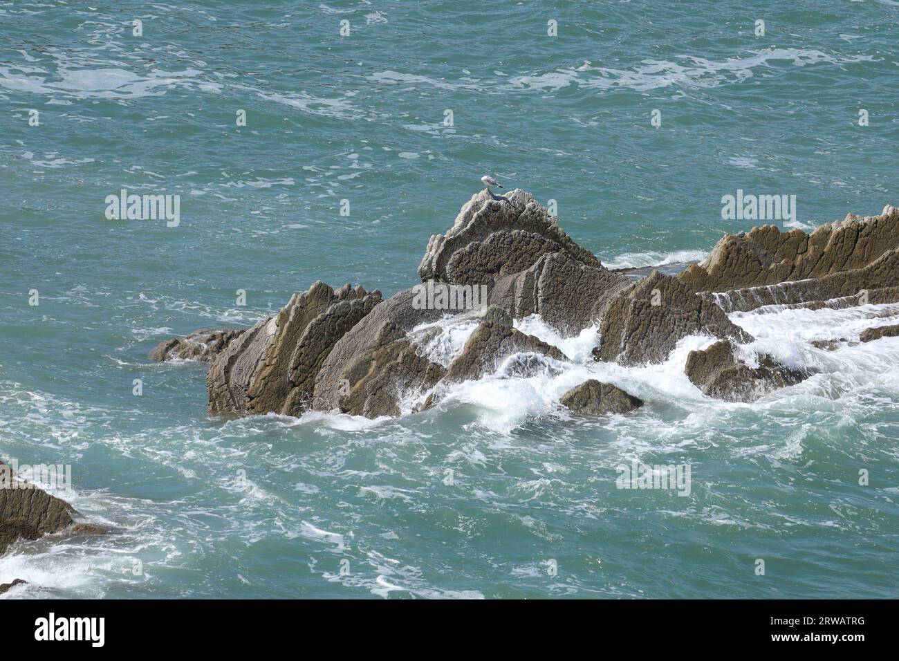 Beautiful and colorful Flysch formations of the Unesco Global Geopark ...