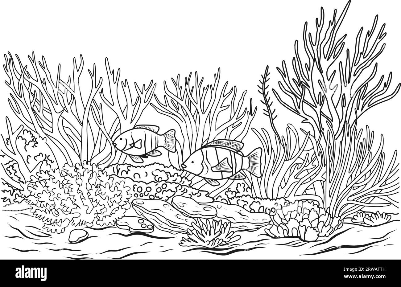 Ocean bottom coloring page with fish and algae. Sea life coloring book ...