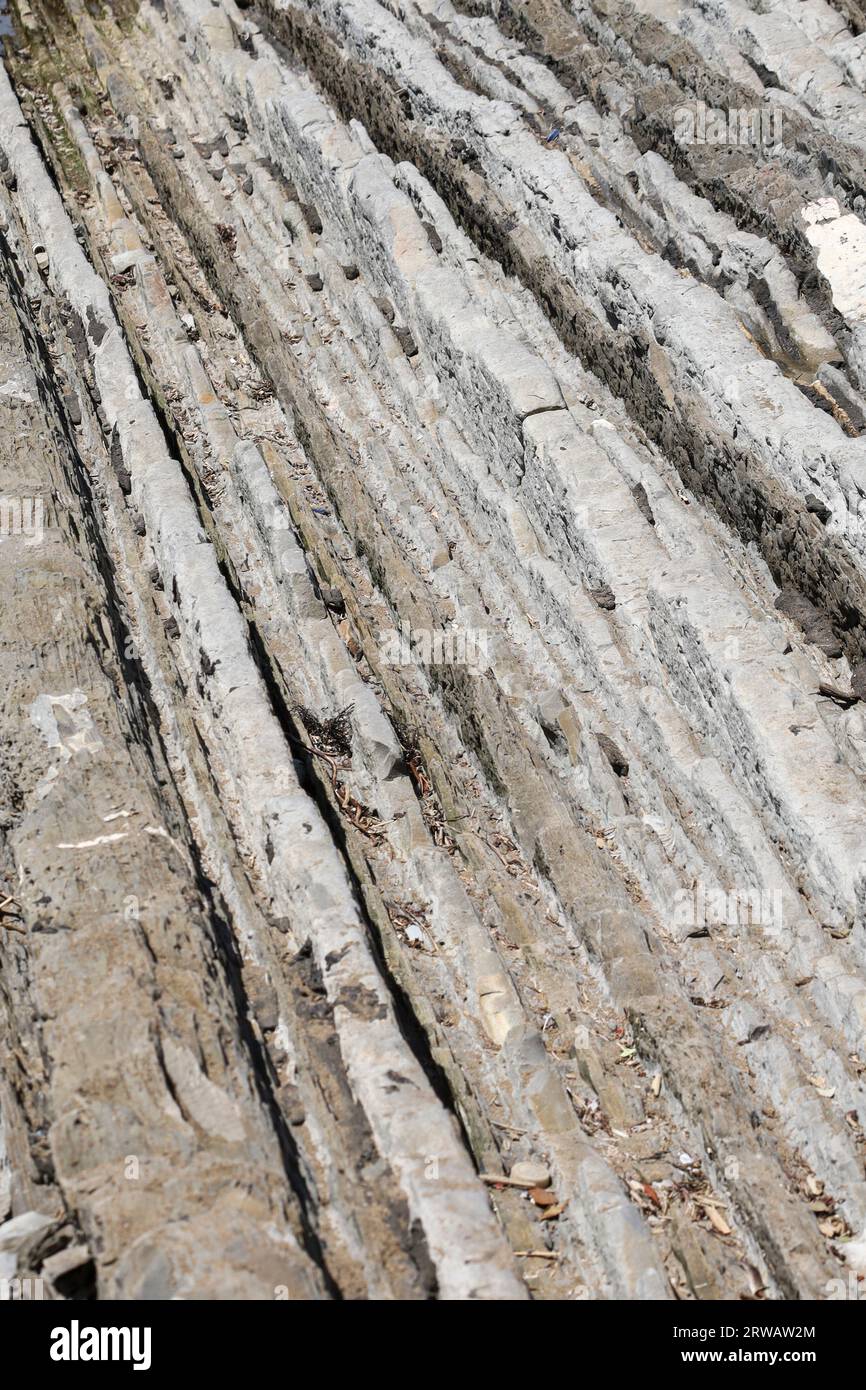 Beautiful and colorful Flysch formations of the Unesco Global Geopark ...