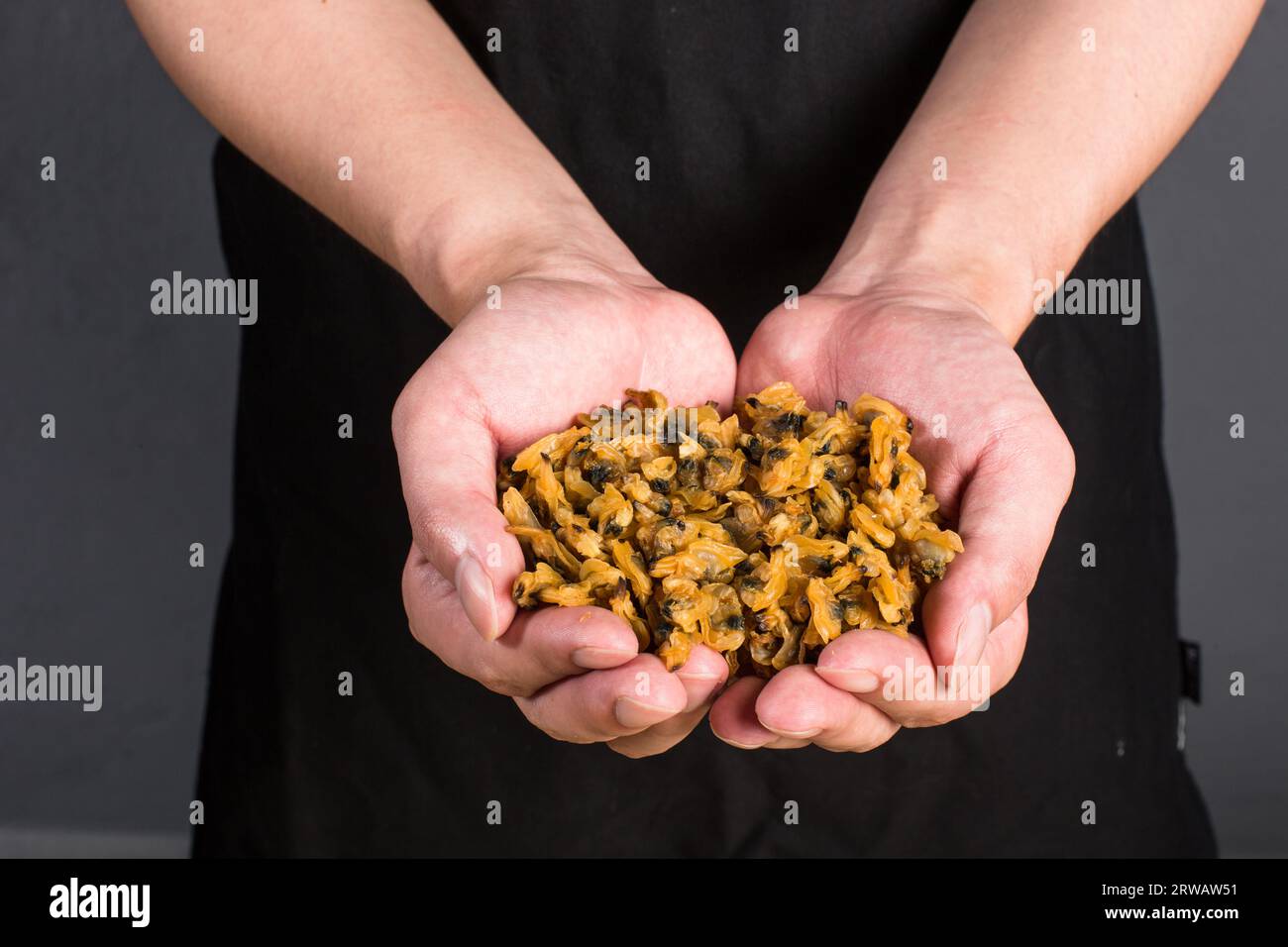 Dried clams dried seafood dry goods seafood hi-res stock photography ...