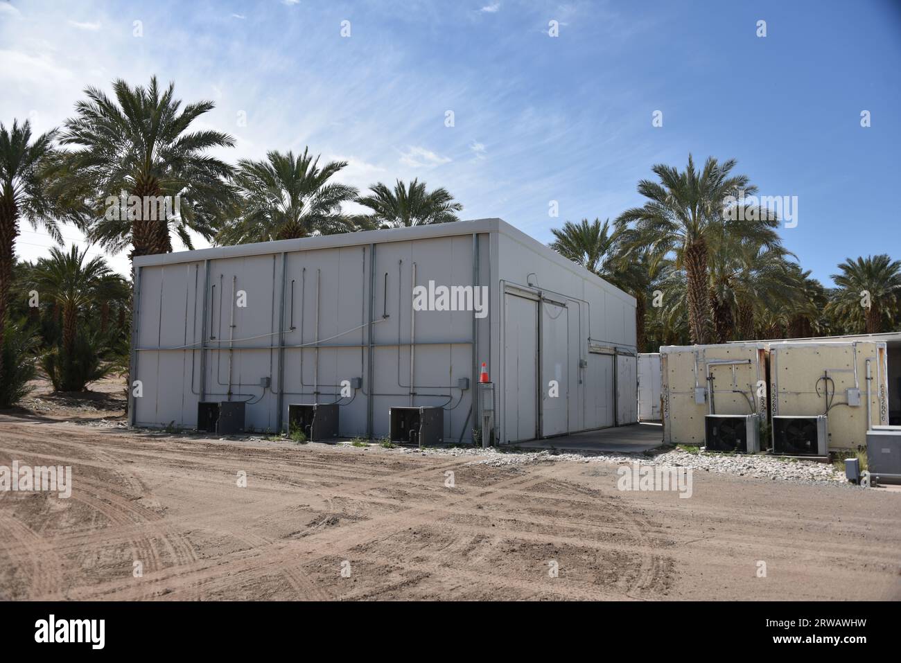 Yuma, AZ USA. 3/14/2023. Martha’s Gardens Medjool Date Farm was founded ...