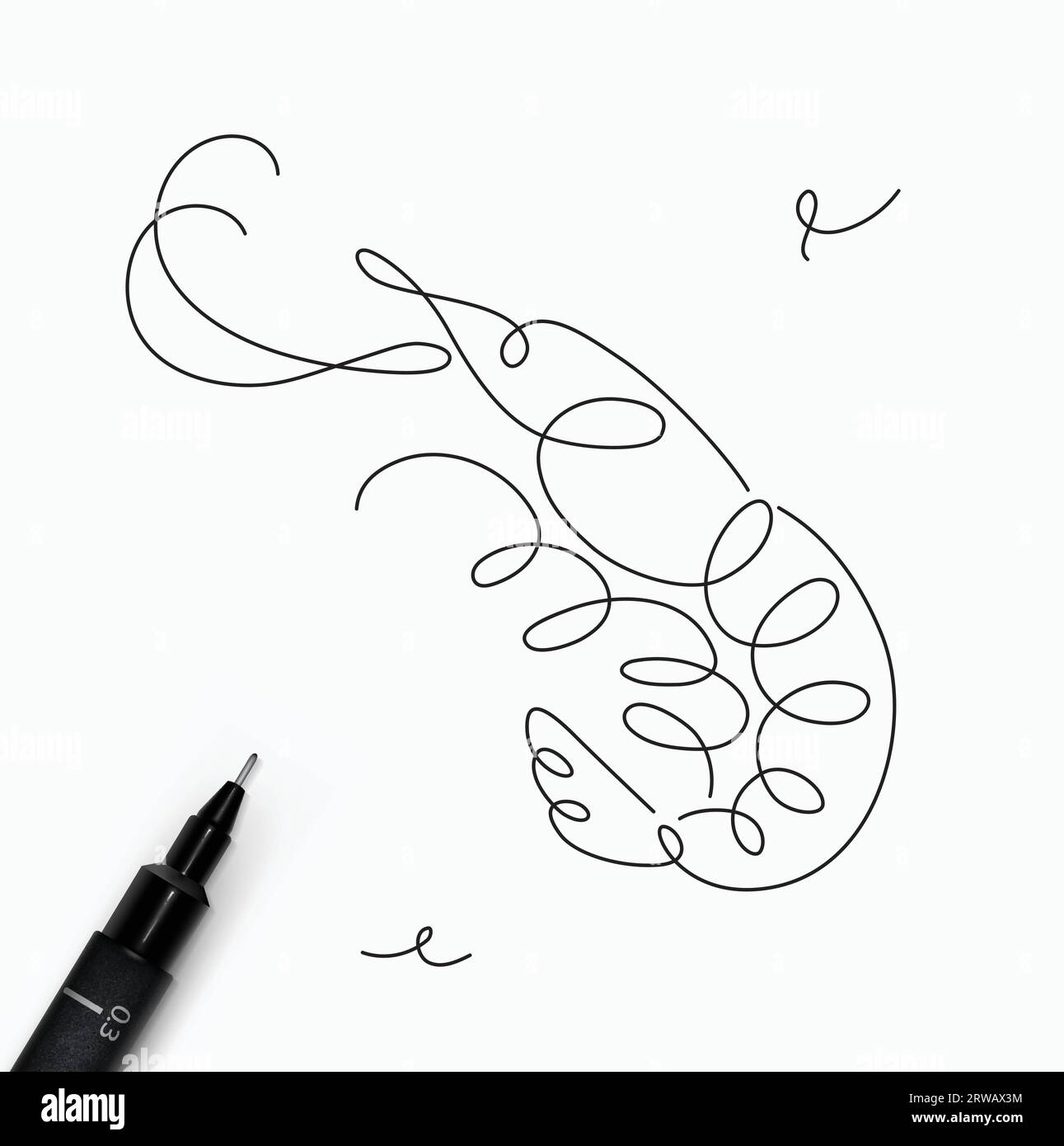 Shrimp sea creature drawing in pen line style on white background Stock ...