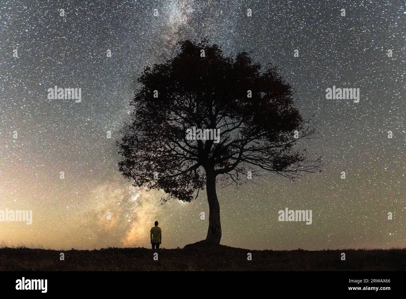 Silhouette of lonely man under majestic tree at night field against the ...